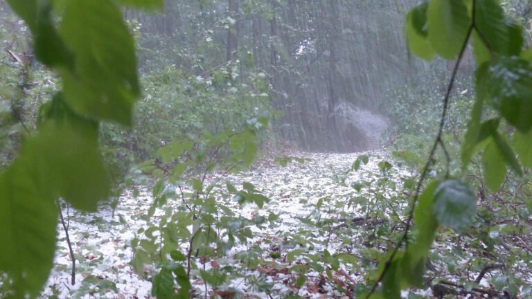 Meteo Piemonte: temporali diffusi sulle Alpi • L'Agenda News